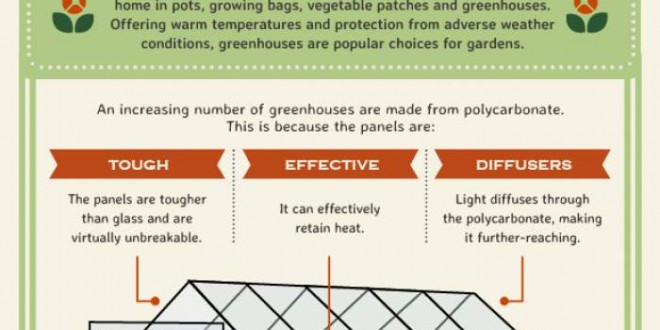A Green Guide to Growing Your Own | Infographic Portal