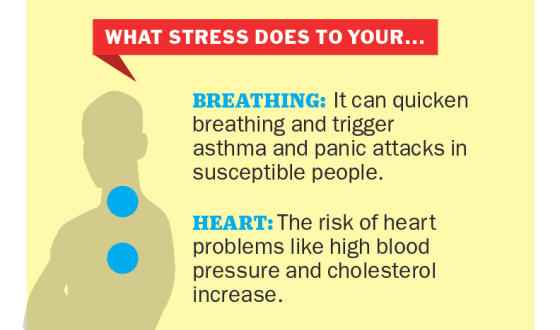 About Stress and Its Health Effects | Infographic Portal