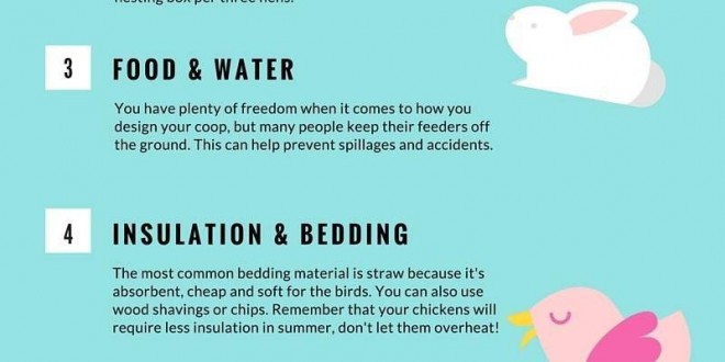 Chicken Coop Checklist | Infographic Portal