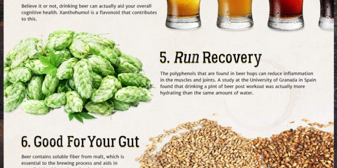 10 Ways Beer Makes You Healthier | Infographic Portal