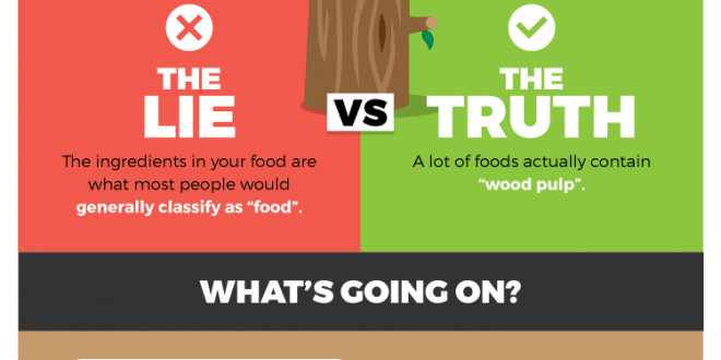 Lies of the Food Industry | Infographic Portal