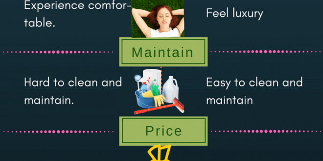 Fabric Or Leather Sofa Which One To Choose Infographic Portal