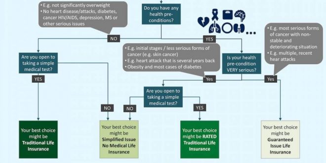 The Best of Life Insurance Policy | Infographic Portal