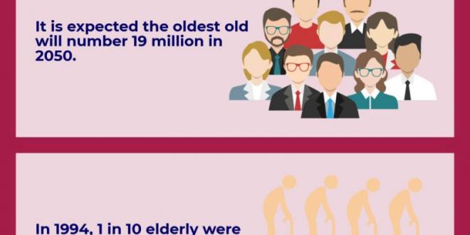 Seniors in the United States Above the Age of 65 | Infographic Portal