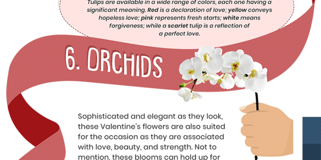 10 Valentine's Flowers and their Romantic Meanings | Infographic Portal