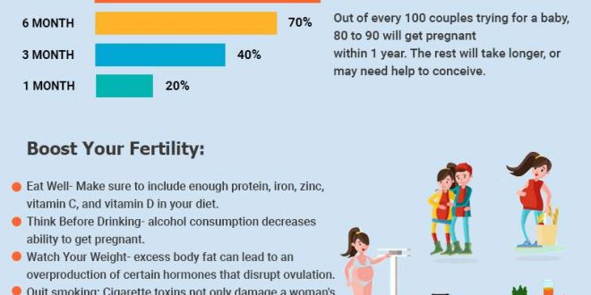 Fertility Facts About Men and Women | Infographic Portal