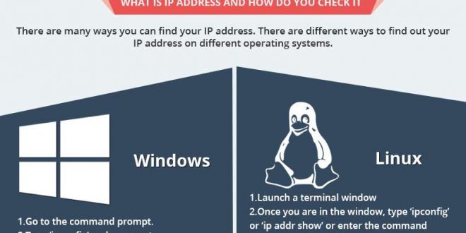 What Is IP Address And How DO You Check It | Infographic Portal