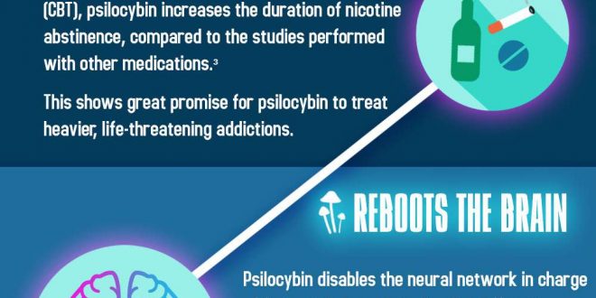 4 Medical Benefits of Psilocybin Mushrooms | Infographic Portal