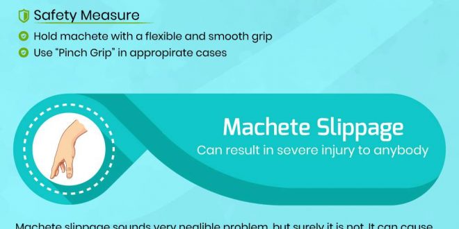 The Ultimate Guide to Machete Safety | Infographic Portal