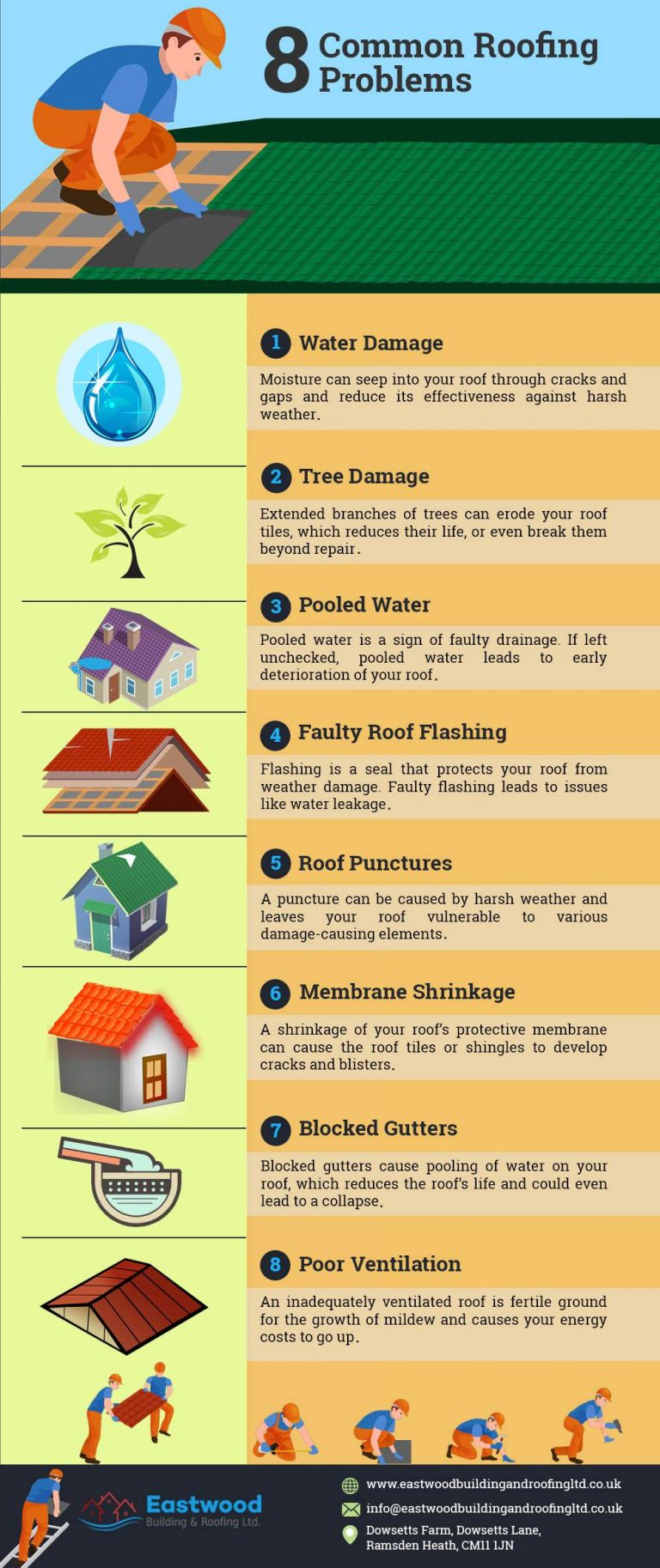 8 Common Roofing Problems | Infographic Portal