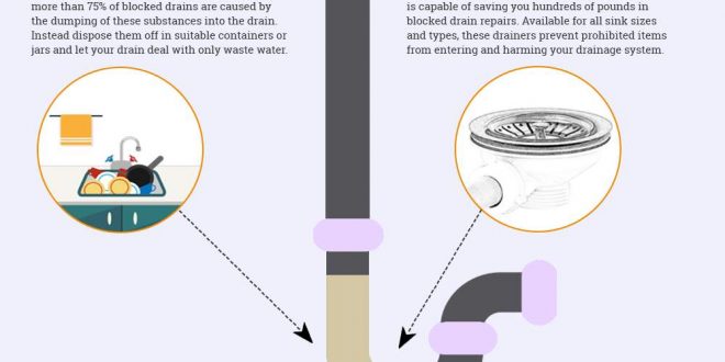 4 Ways to Prevent Blocked Drains | Infographic Portal