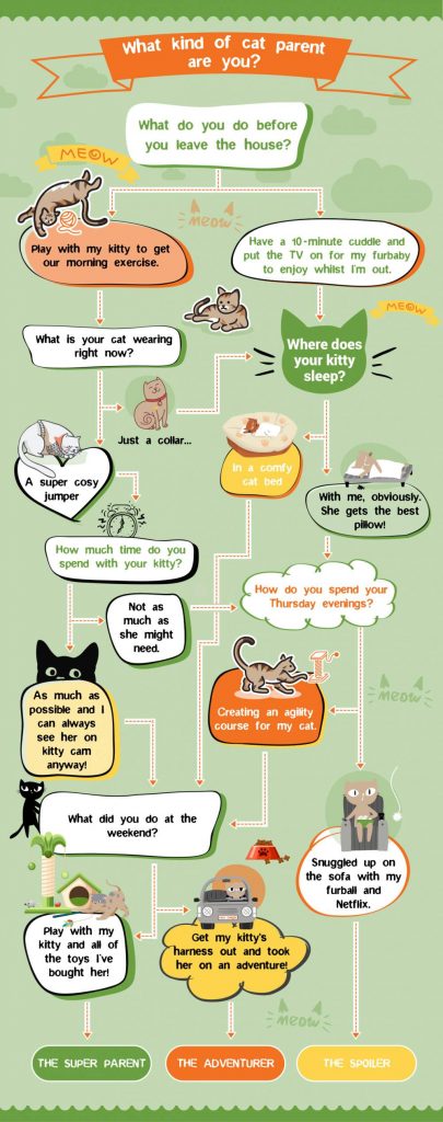 What Kind of Cat Parent are You? | Infographic Portal