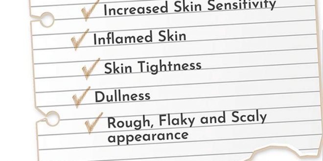 Fact Check: Do You Have Dehydrated Skin | Infographic Portal