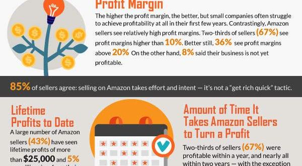 Truth About What it Takes to Sell on Amazon in 2020 | Infographic Portal