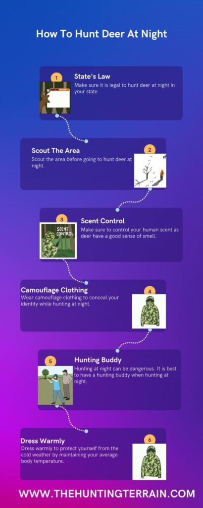How To Hunt Deer At Night - Infographic Portal