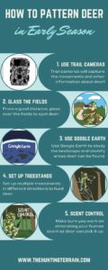 How To Pattern Deer In Early Season - Infographic Portal